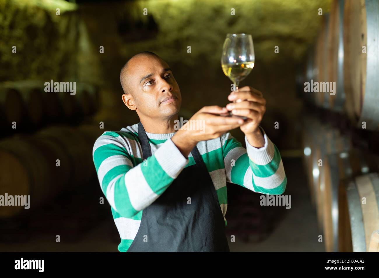 Latin american vintner examining wine in winery basement Stock Photo ...