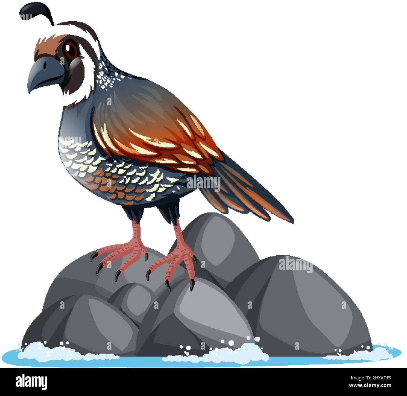 Feather on rock Stock Vector Images - Alamy