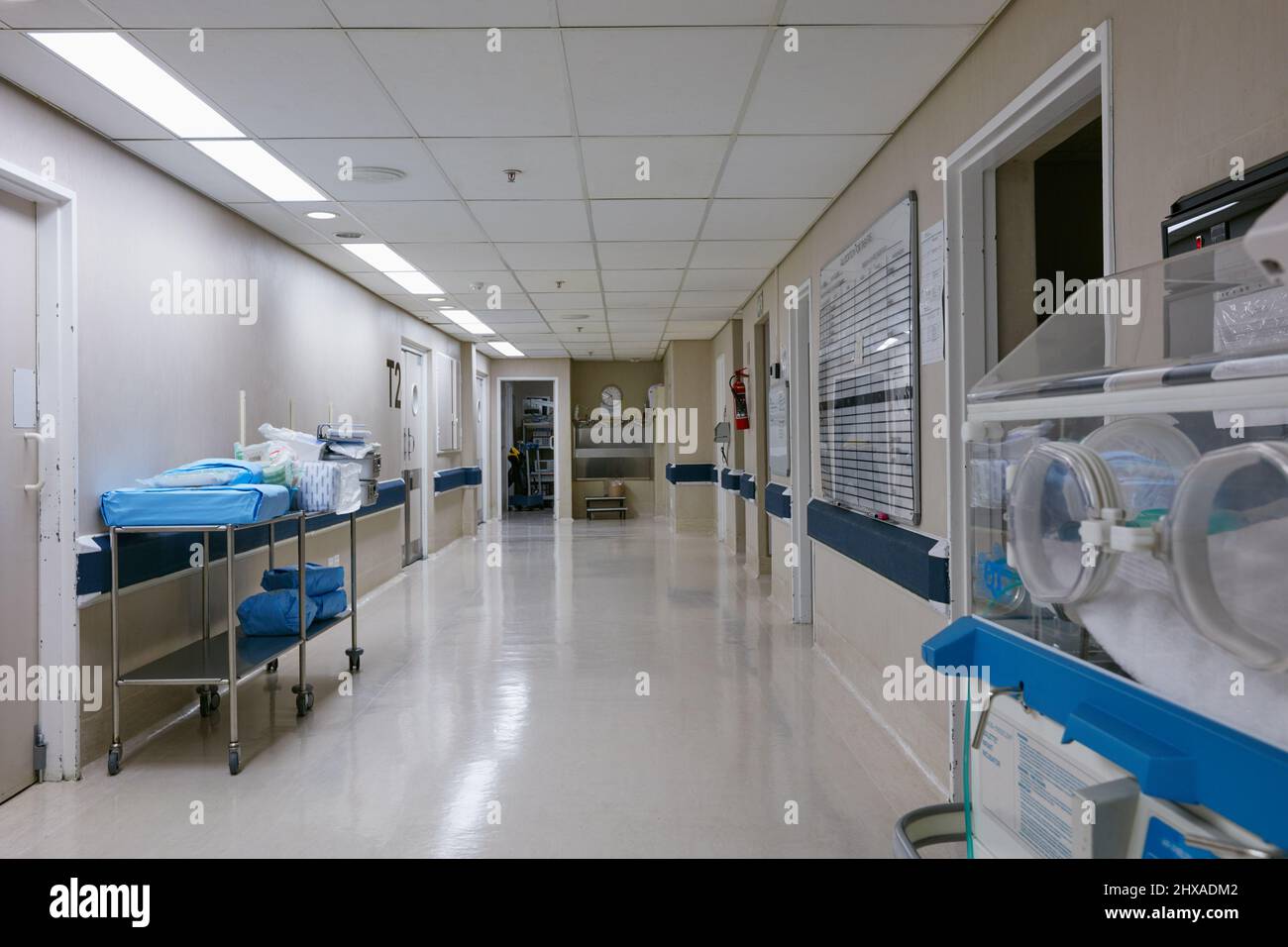 Gambar Postnatal Di Hospital 6.244 Pregnant Vintage Stock Photos,