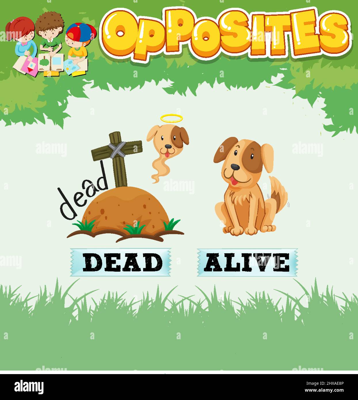 Opposite words for dead and alive illustration Stock Vector Image & Art ...