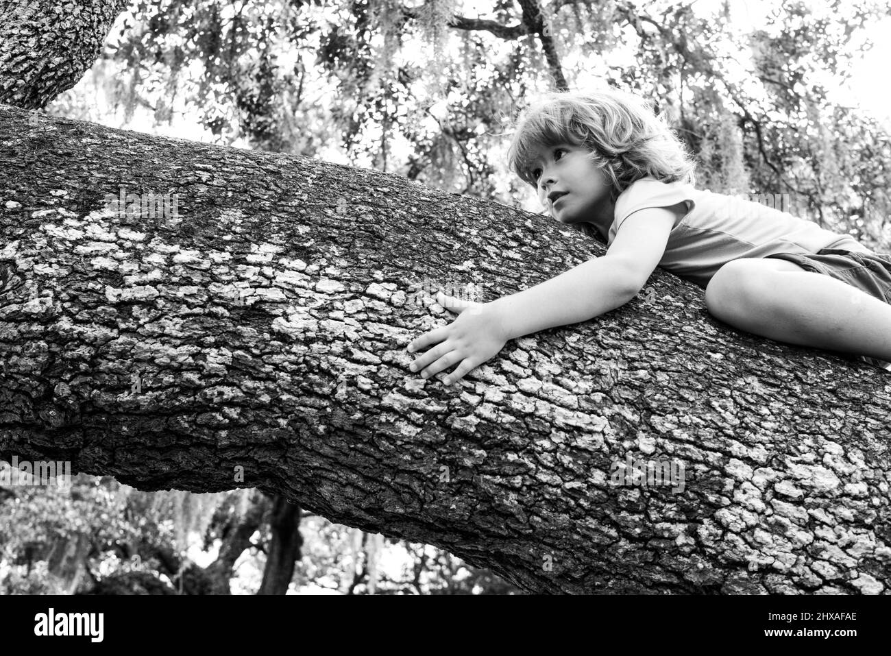 Child climbed a tree hi-res stock photography and images - Alamy