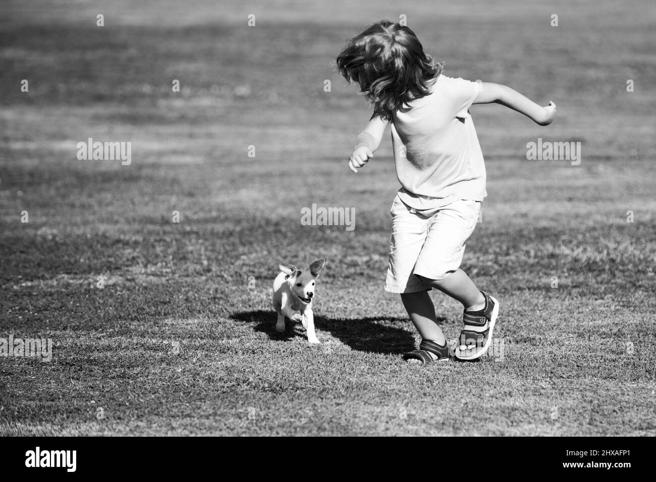 Happy child boy run with a dog outdoor Stock Photo - Alamy