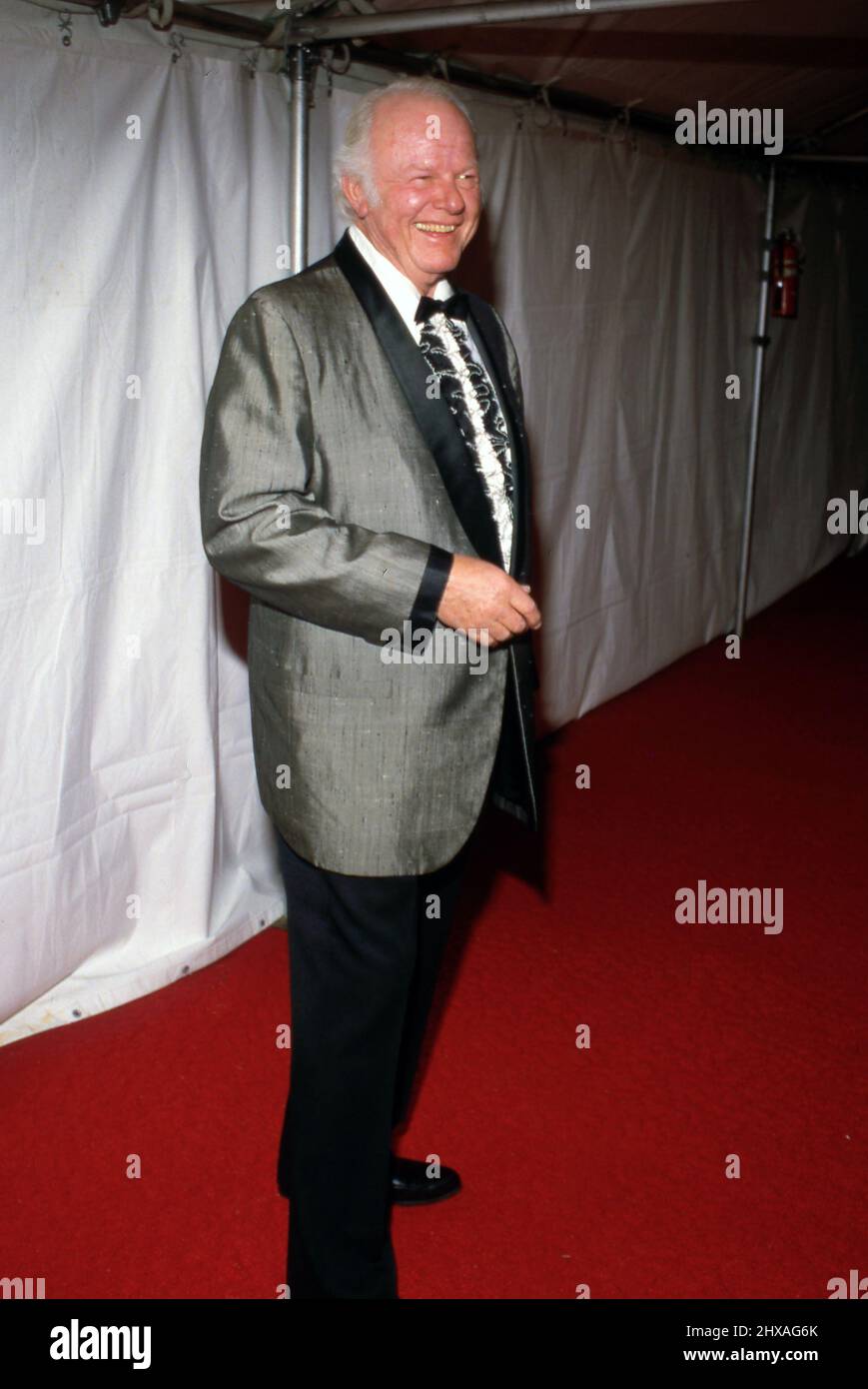 Alan Hale Jr. Circa 1980's Credit: Ralph Dominguez/MediaPunch Stock ...