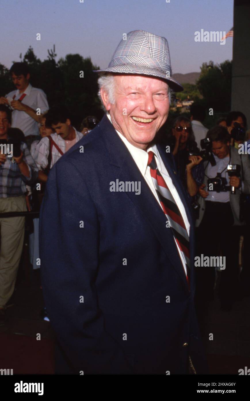 Alan Hale Jr. Circa 1980's Credit: Ralph Dominguez/MediaPunch Stock ...