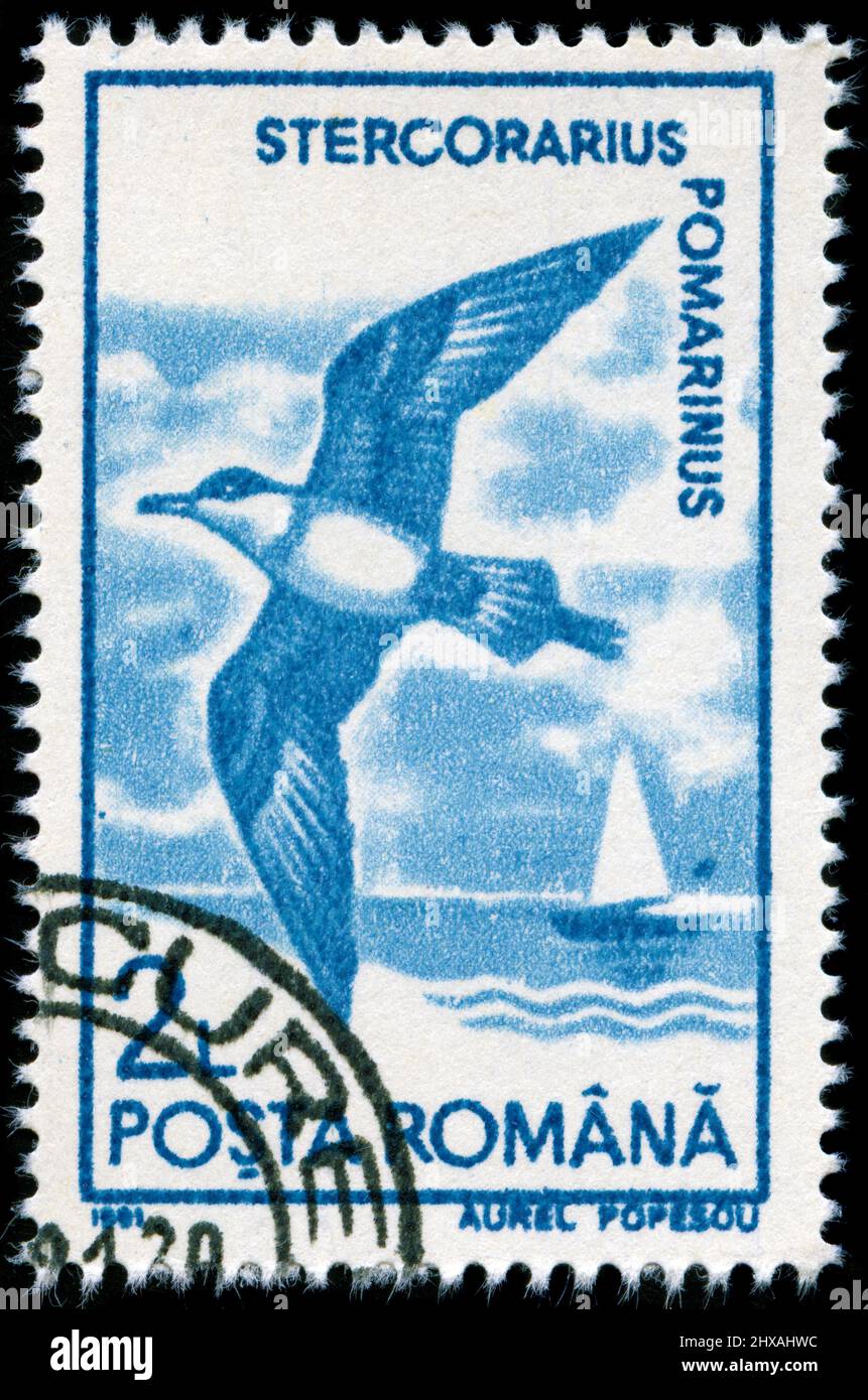 Postage stamp from Romania in the Waterfowl (1991) series Stock Photo ...