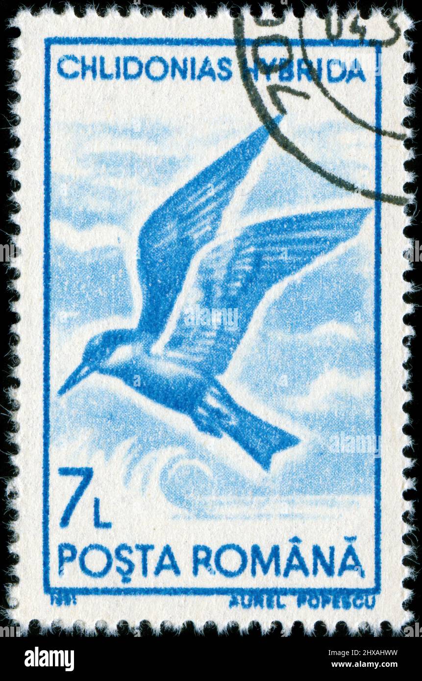 Postage stamp from Romania in the Waterfowl (1991) series Stock Photo ...
