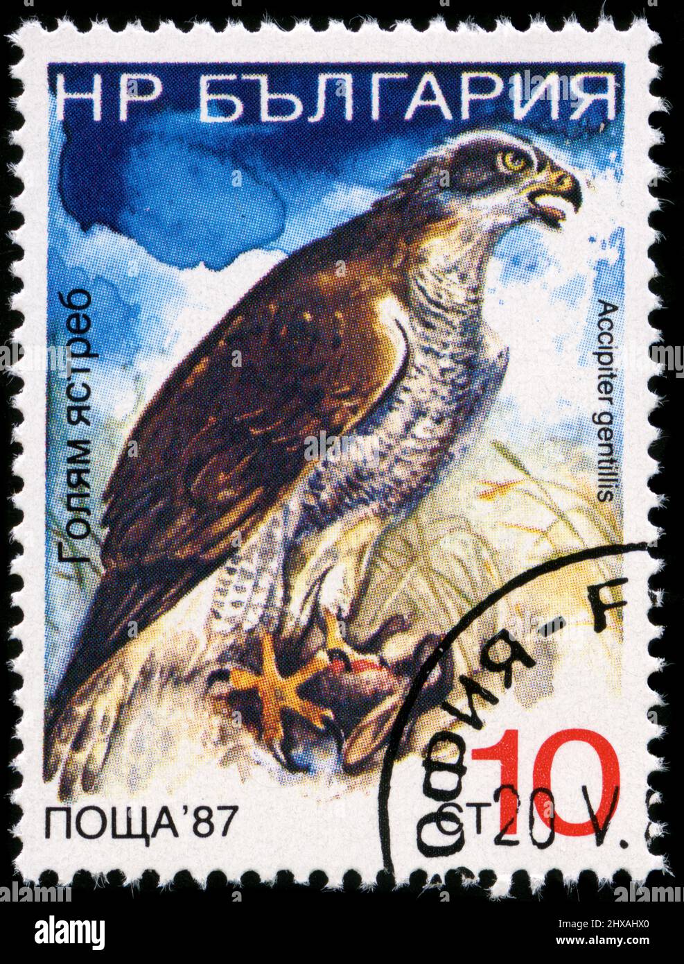 Postage stamp from Bulgaria in the Birds (1988) series Stock Photo - Alamy