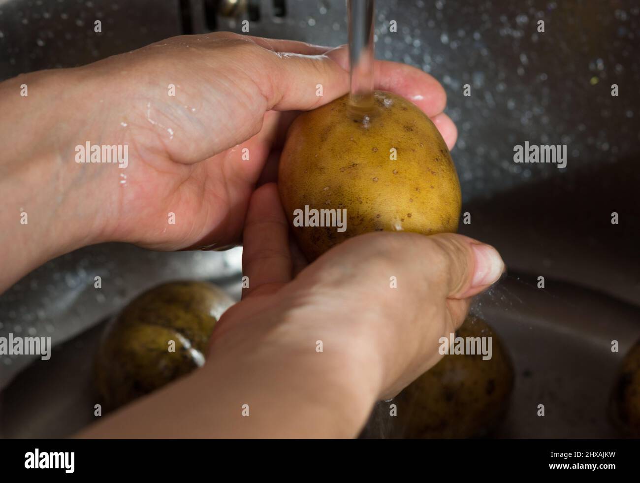 Woman hands holding one dirty potato in sink under water for cleaning ...
