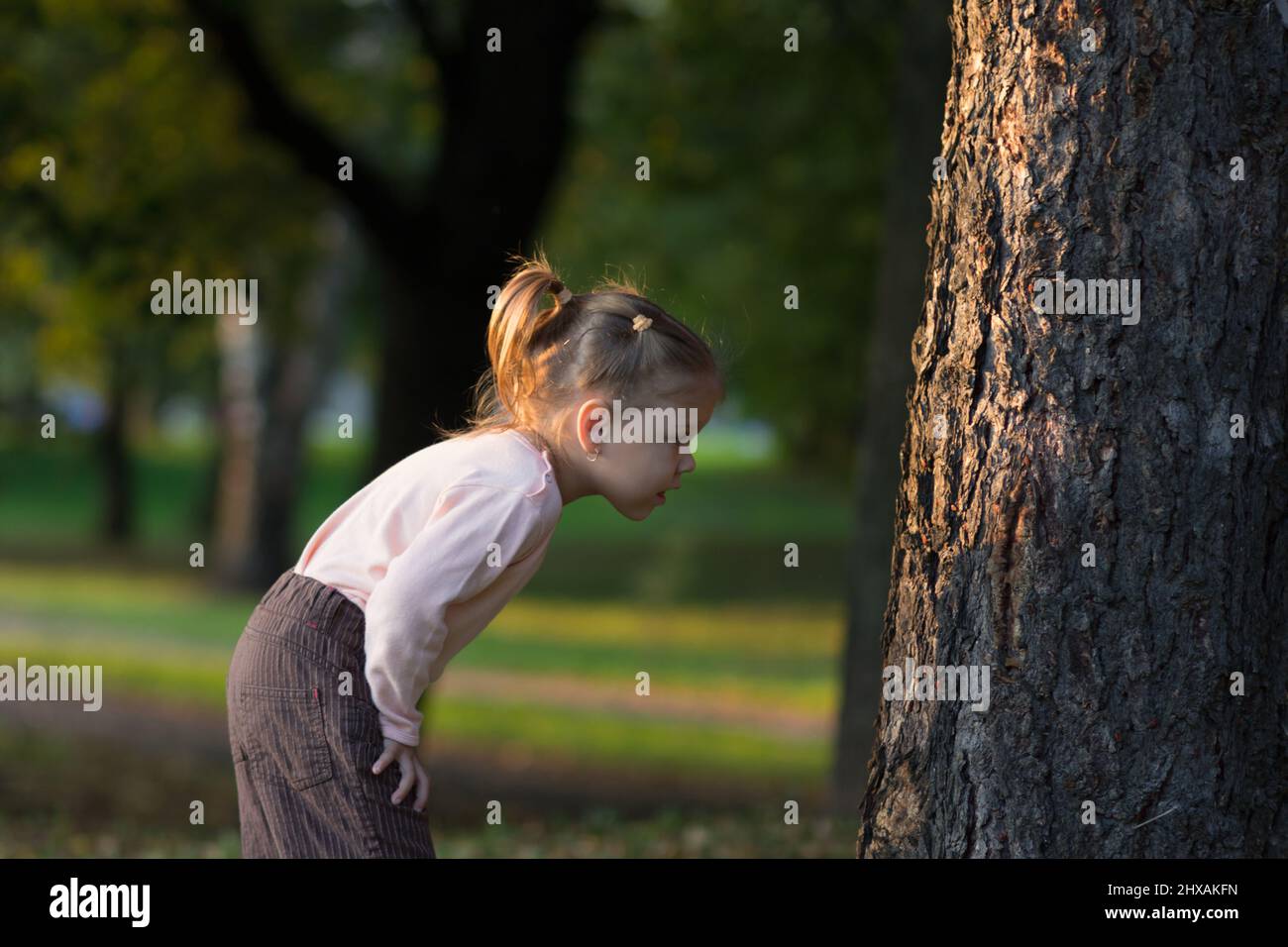 Little girl looking at tree attentively and studying something on it ...