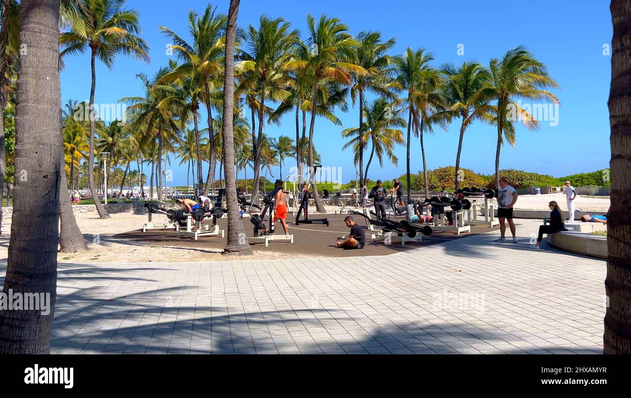 Muscle beach miami hi-res stock photography and images - Alamy