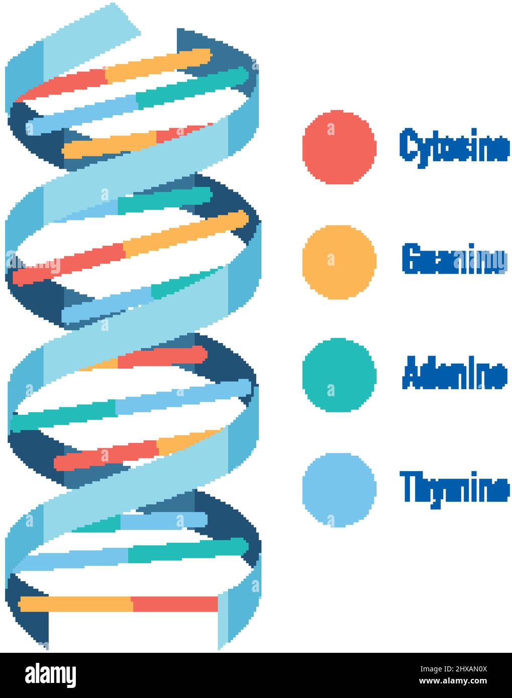 DNA helix symbol isolated on white background illustration Stock Vector ...