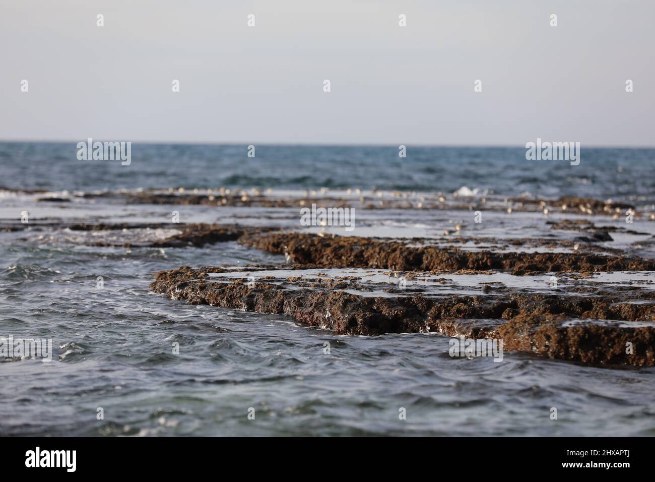 Sea landscape surfline waves foam hi-res stock photography and images ...