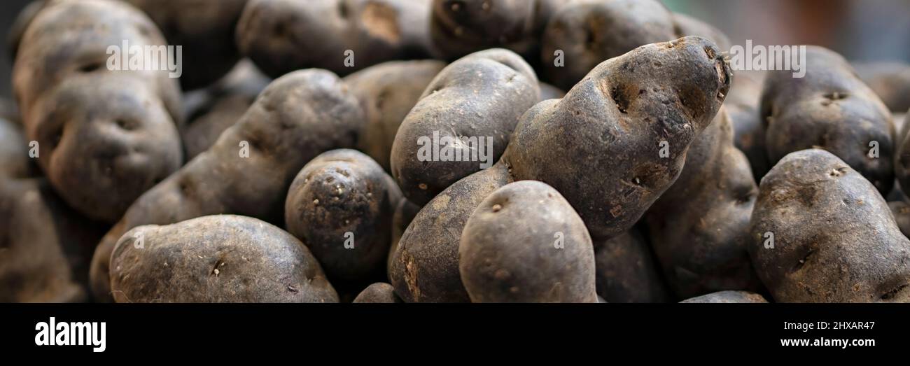 Violetta potatoes hi-res stock photography and images - Alamy