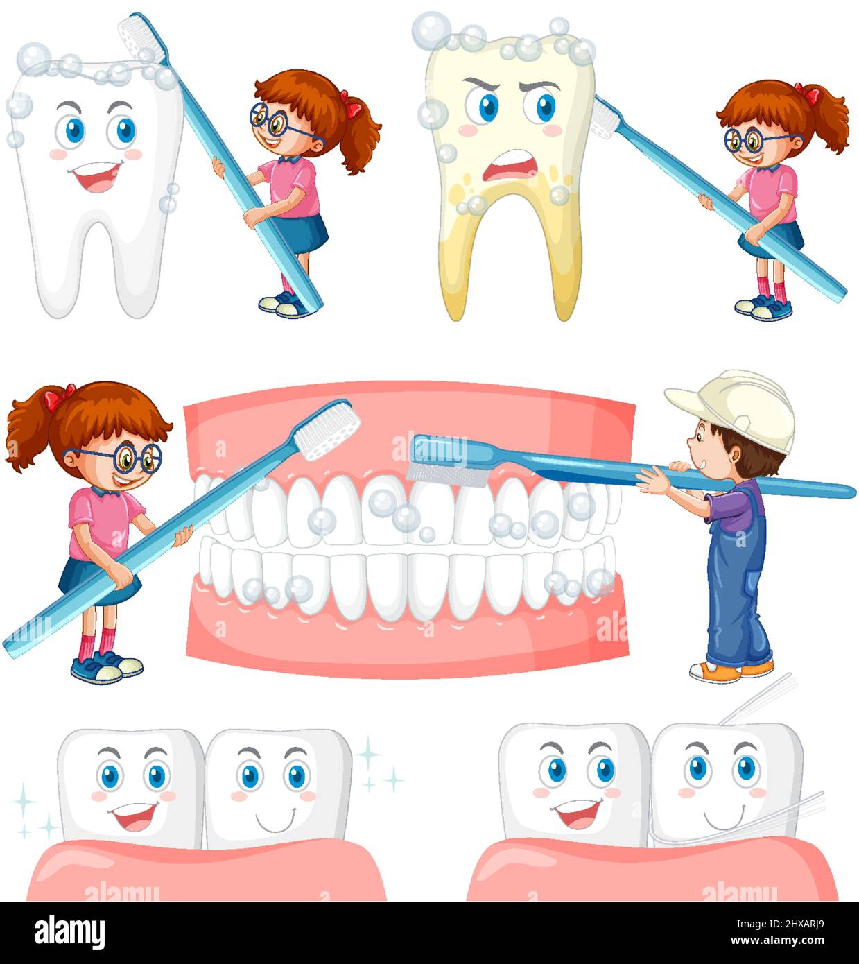 Set of all types of teeth on white background illustration Stock Vector ...