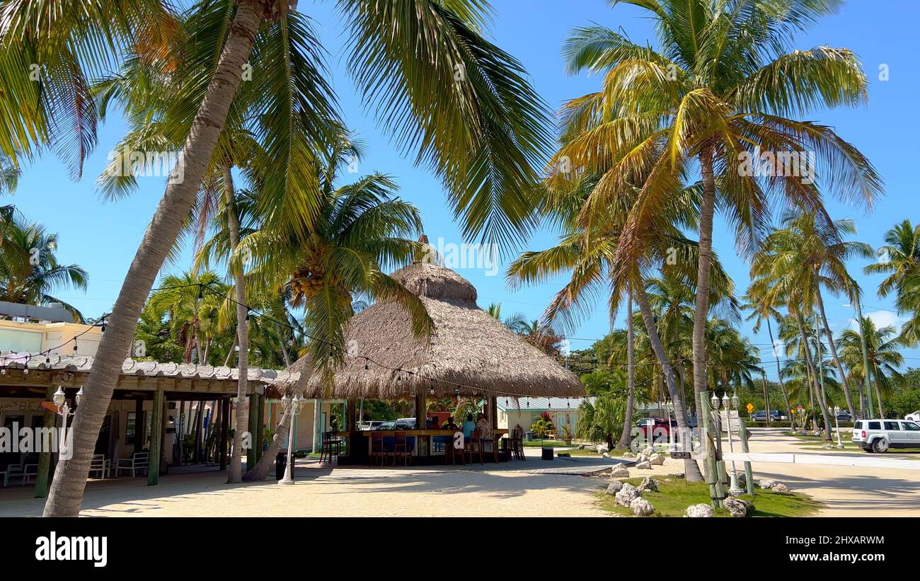 Wonderful Paradise Beach on the Florida Keys - ISLAMORADA, UNITED ...