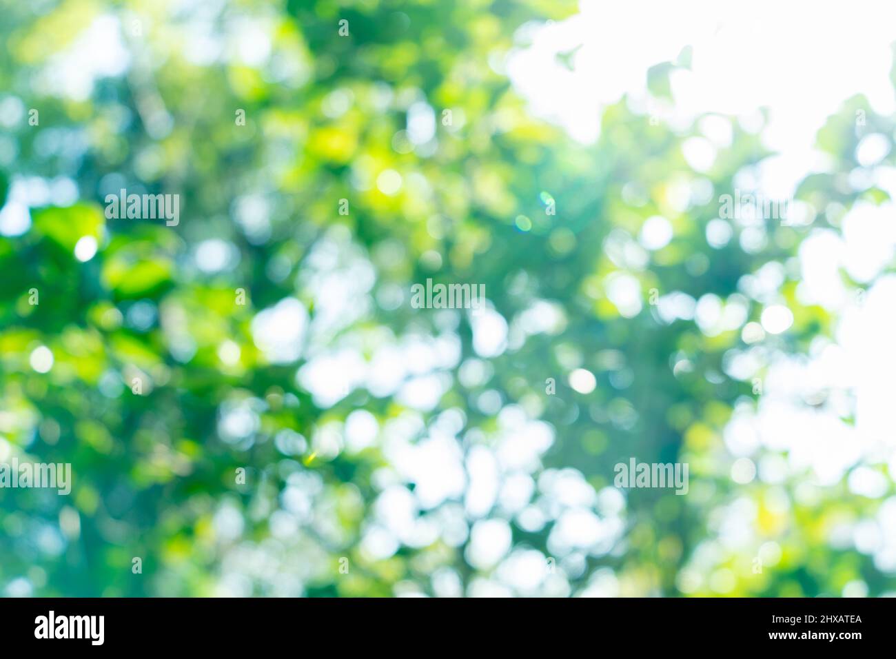 Surring hi-res stock photography and images - Alamy