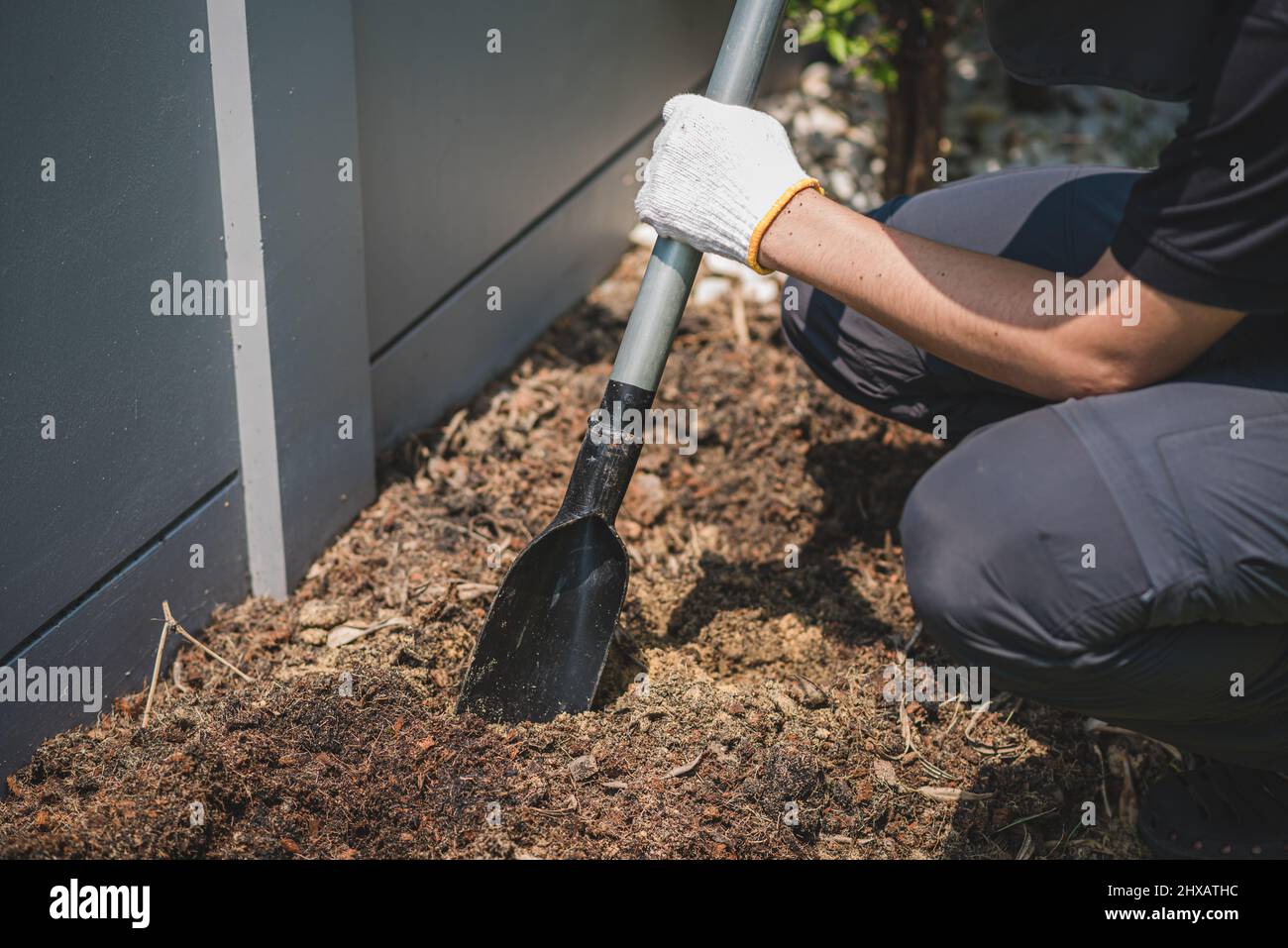 An Asian male shoveling in the backyard Stock Photo - Alamy