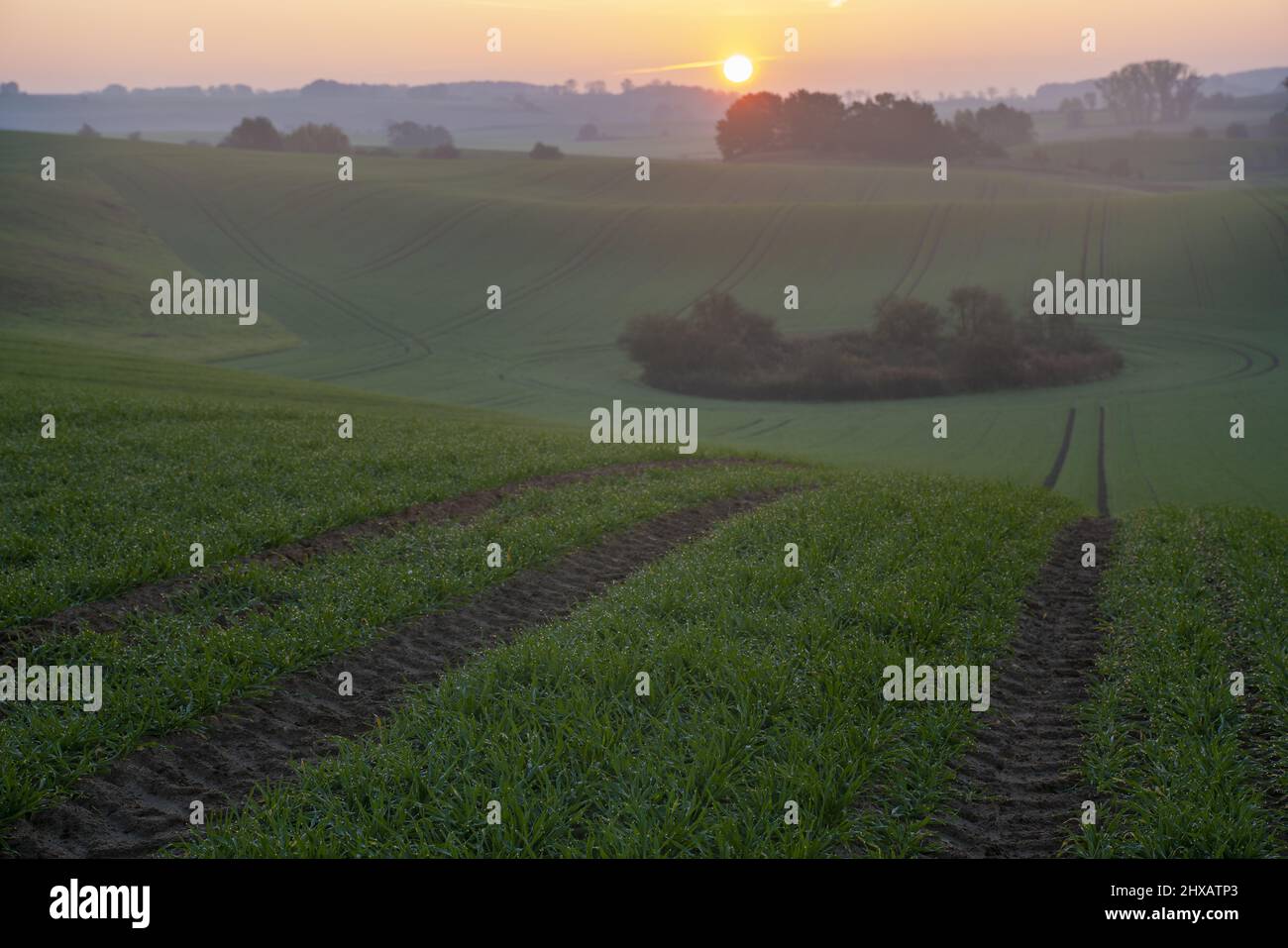 Sunrise over a grassland hi-res stock photography and images - Alamy