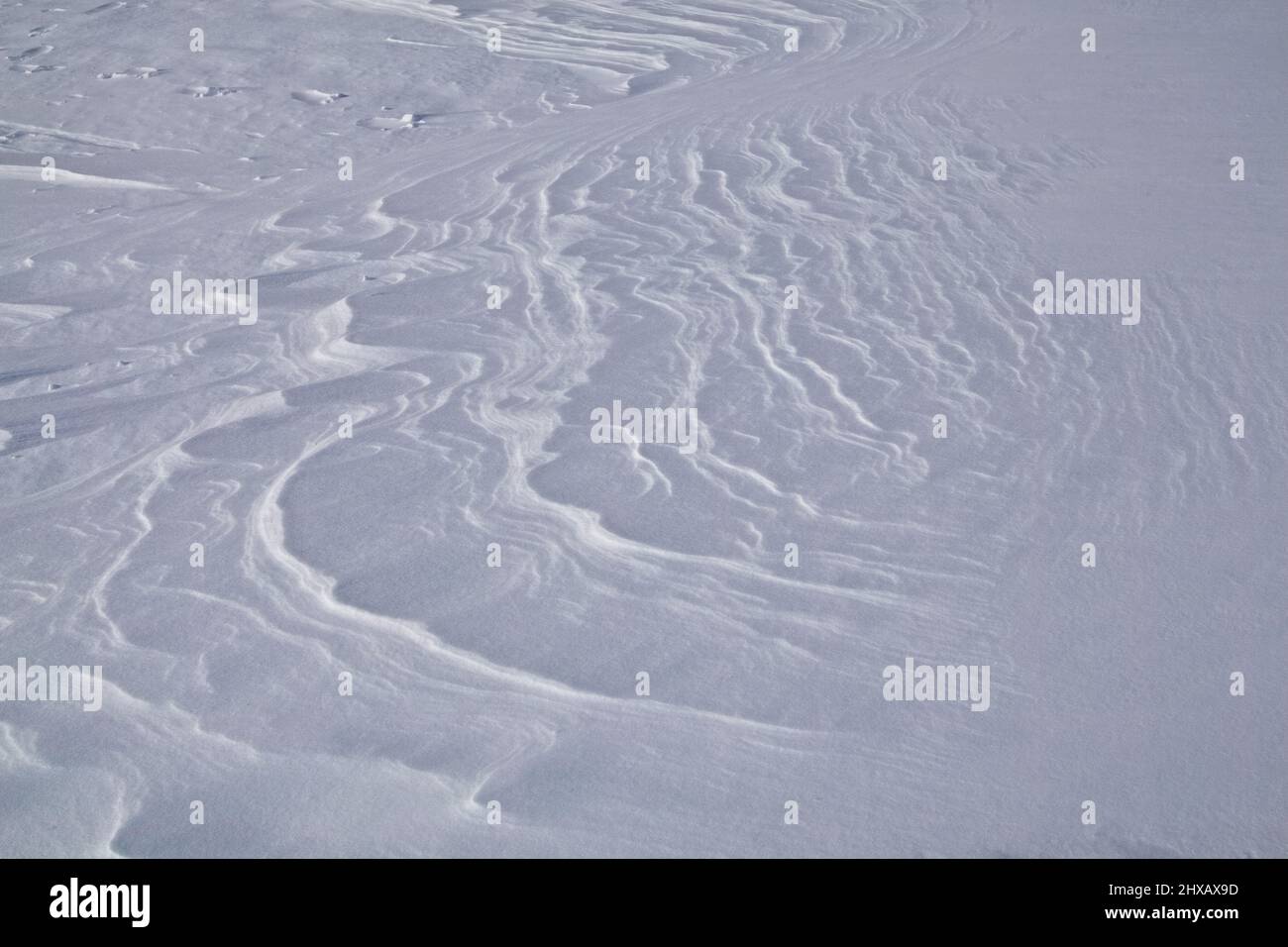 Winter scene with snow patterns on ground Stock Photo - Alamy