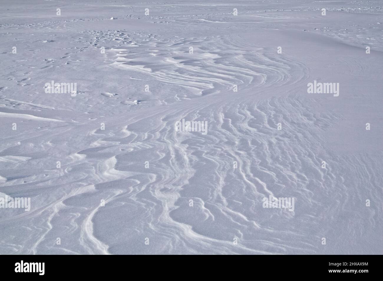 Winter scene with snow patterns on ground Stock Photo - Alamy