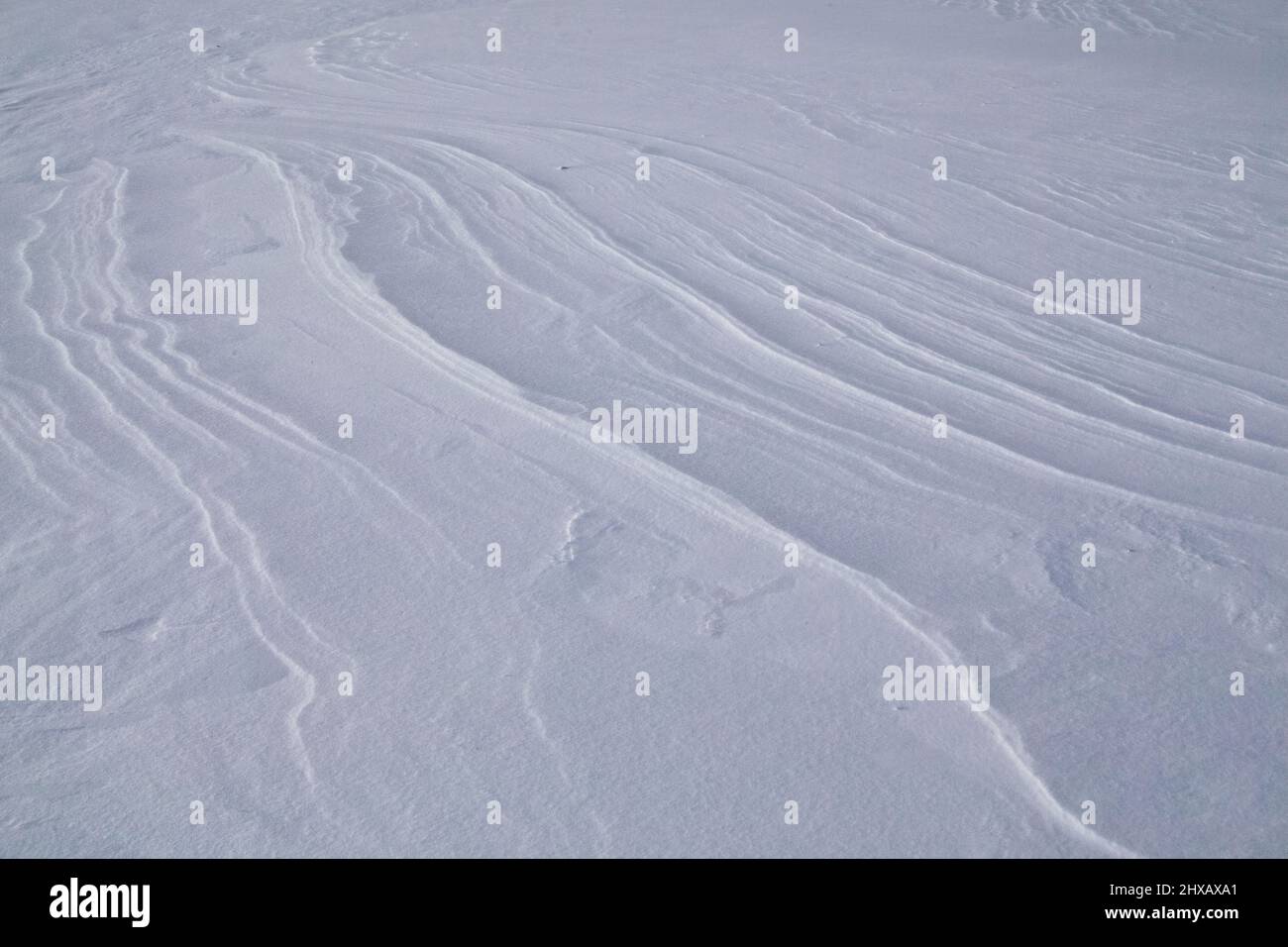 Winter scene with snow patterns on ground Stock Photo - Alamy