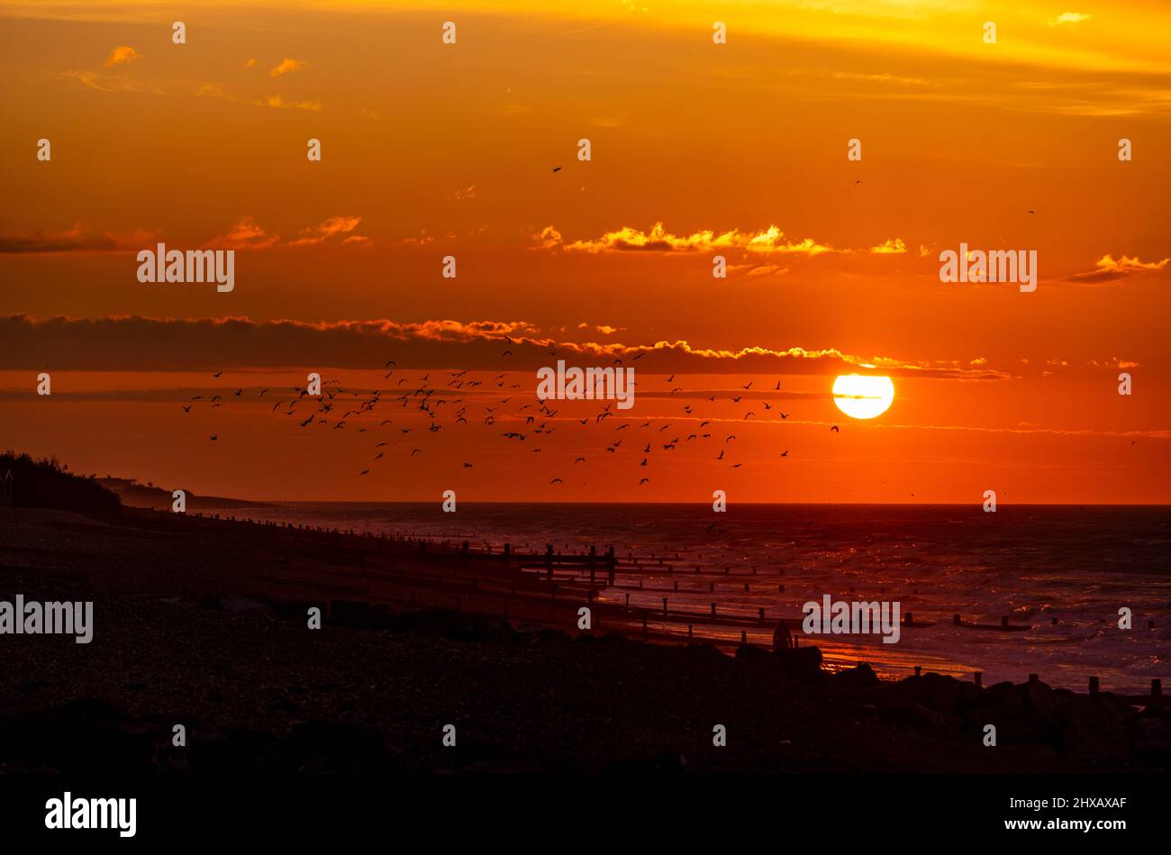 Rustington Beach, UK, 11th March 2022. The sun rises as birds flying ...