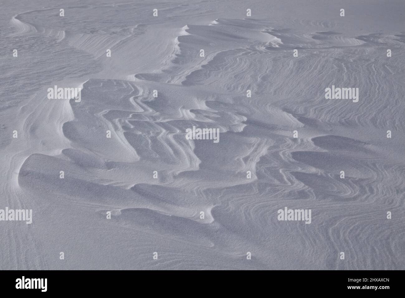 Winter scene with snow patterns on ground Stock Photo - Alamy