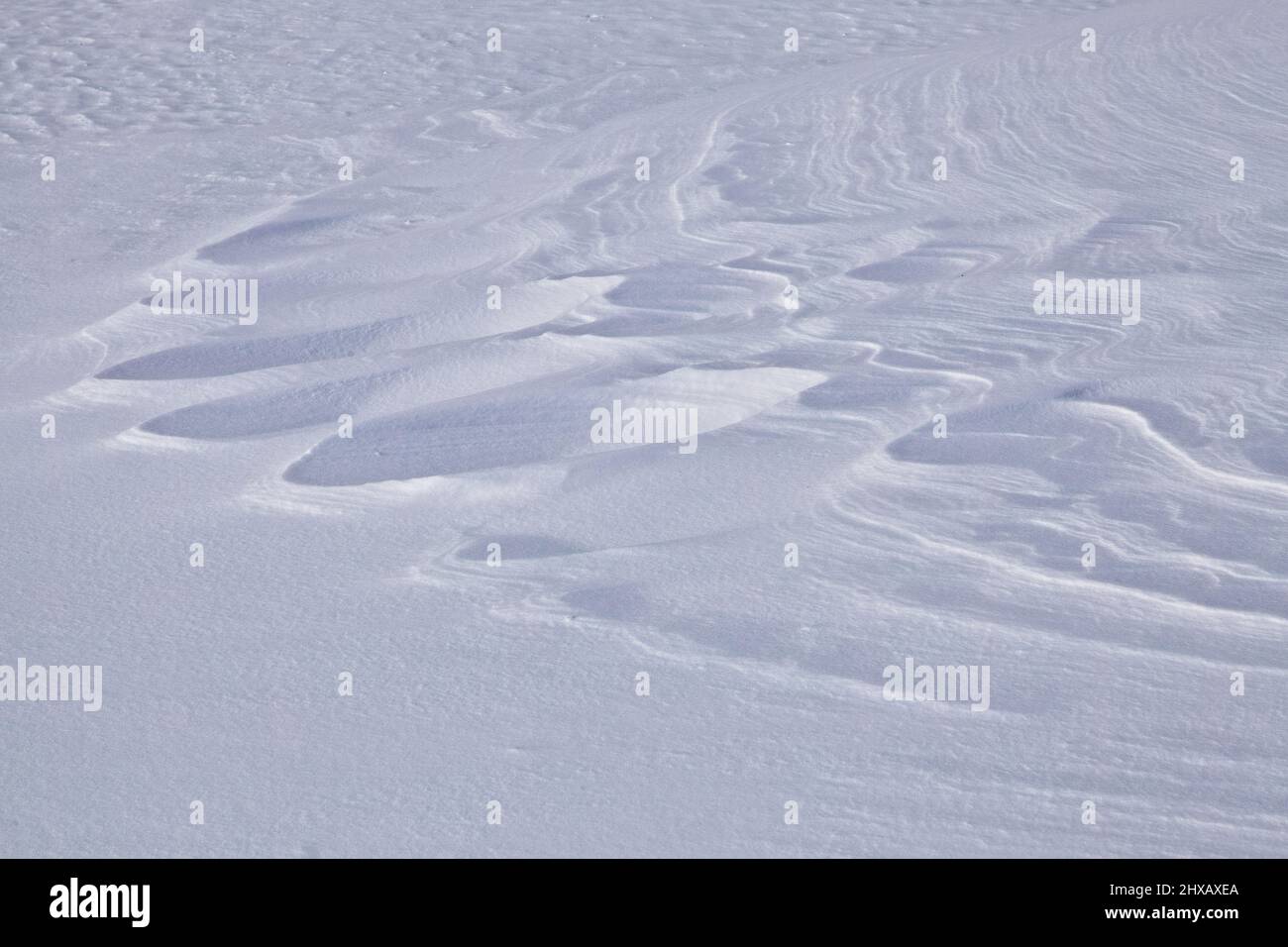 Winter scene with snow patterns on ground Stock Photo - Alamy