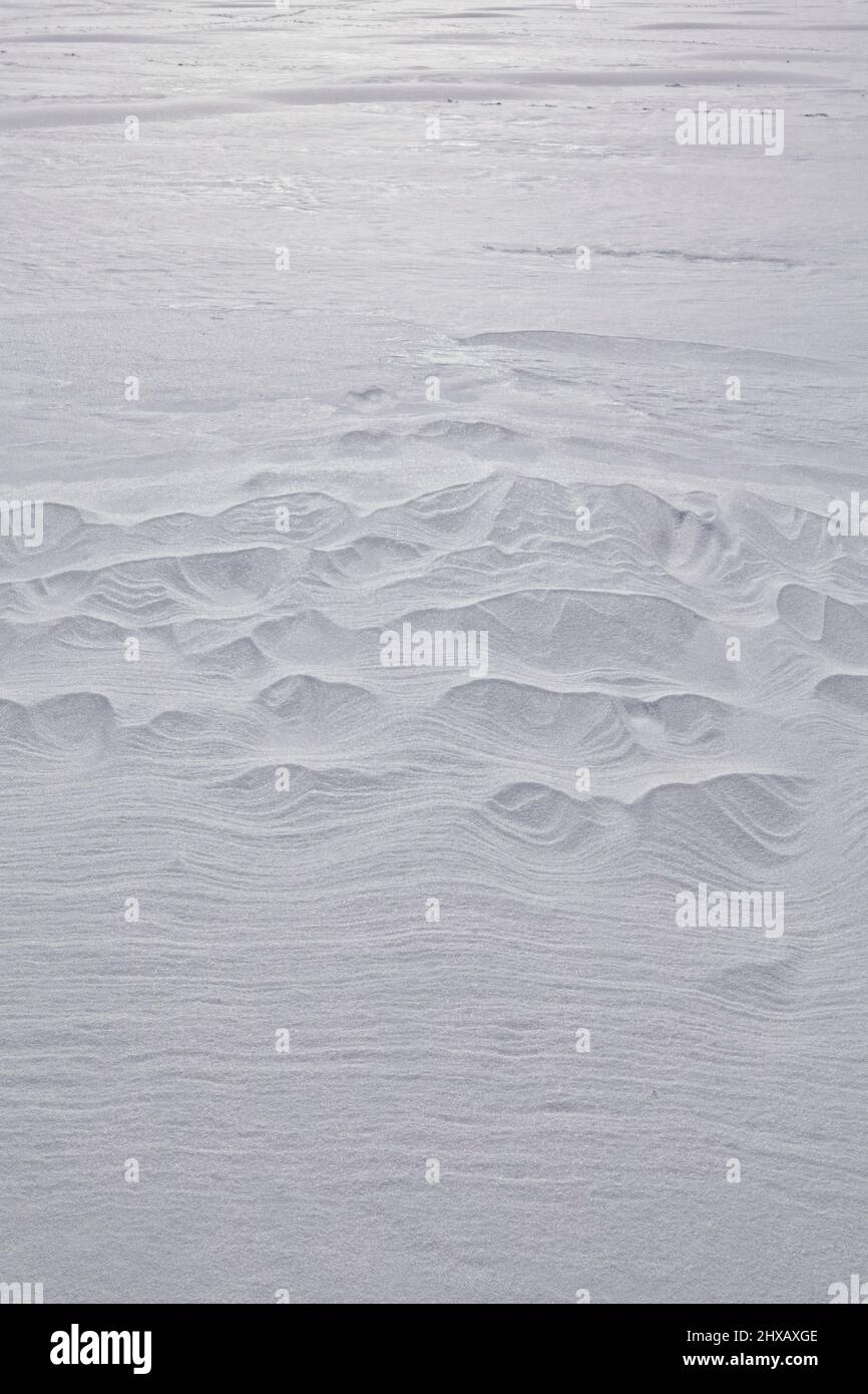 Winter scene with snow patterns on ground Stock Photo - Alamy