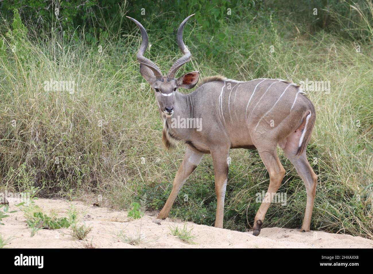 San park symbol hi-res stock photography and images - Alamy