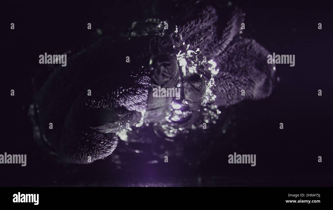 A professional dry microfiber rag for washing a car is dipped in water ...