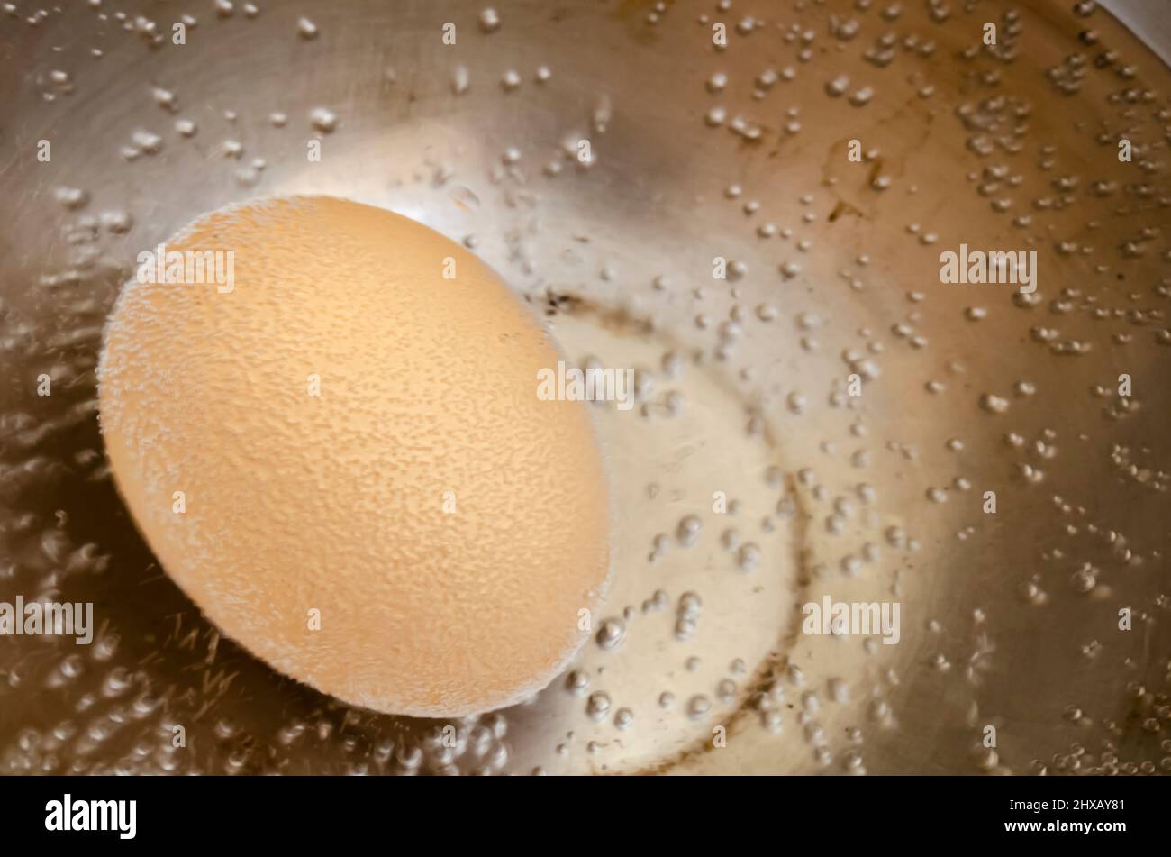 Boiling A Whole Egg Stock Photo - Alamy