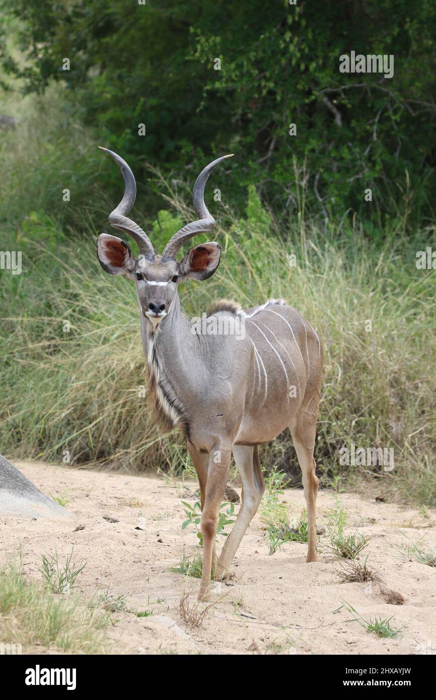 San park symbol hi-res stock photography and images - Alamy
