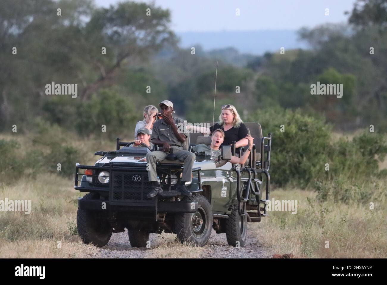 Open top safari jeep hi-res stock photography and images - Alamy