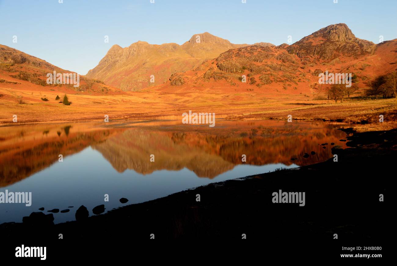 The 'Langdale Pikes' and 'Side Pike' Reflected in Blea Tarn at Dawn ...
