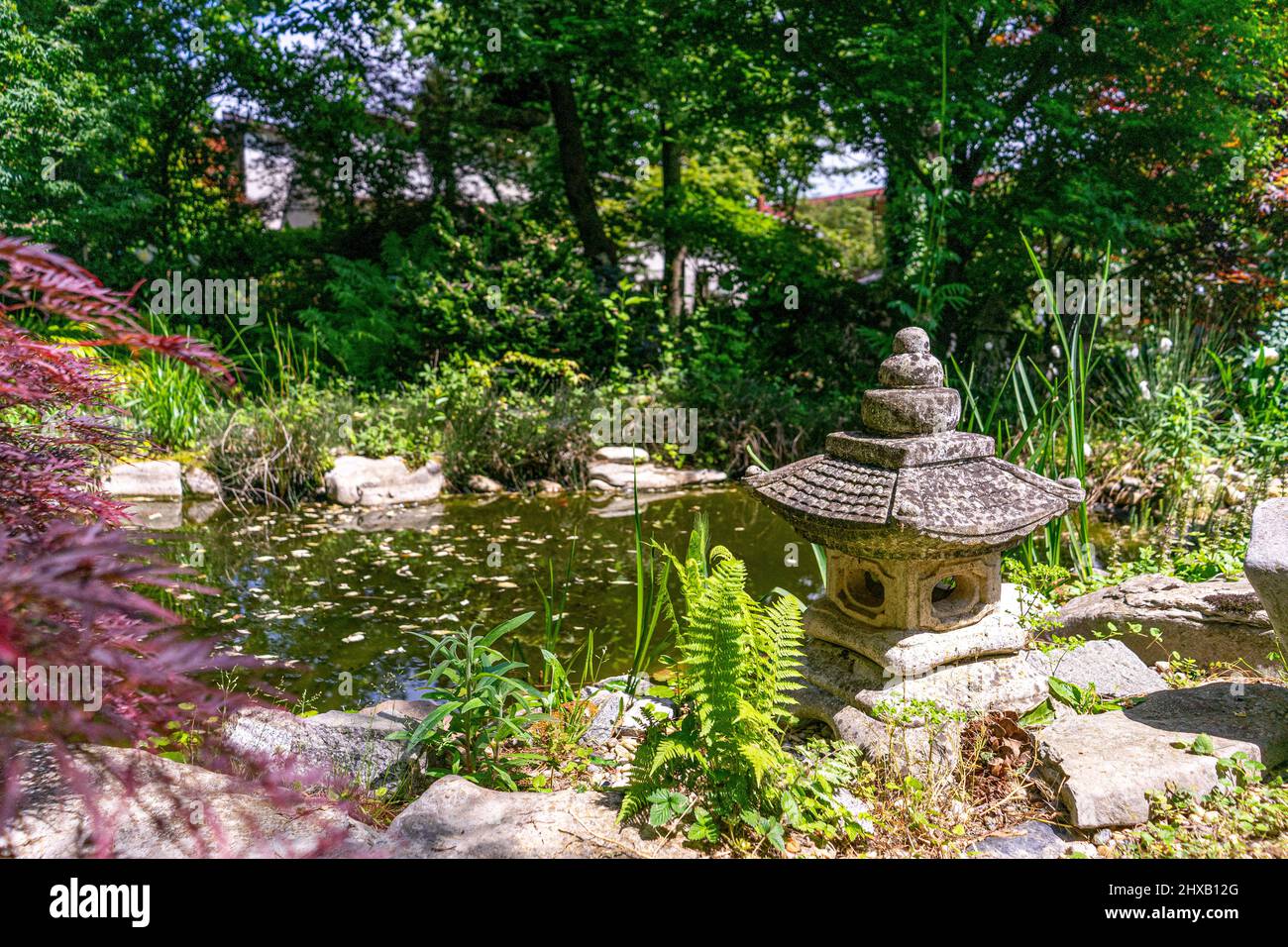 Little pond in a Japanese style garden Stock Photo - Alamy