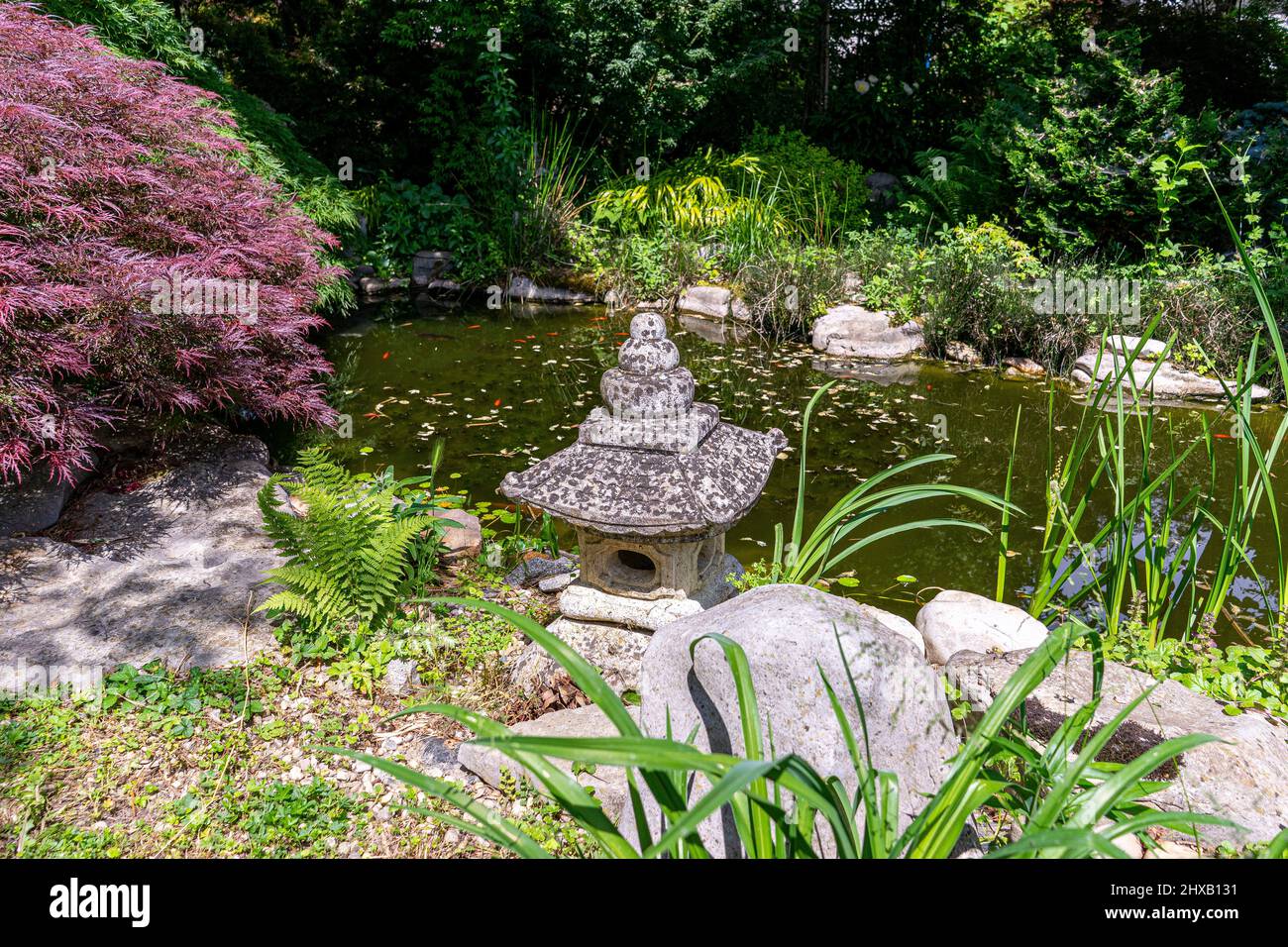 Little pond in a Japanese style garden Stock Photo - Alamy
