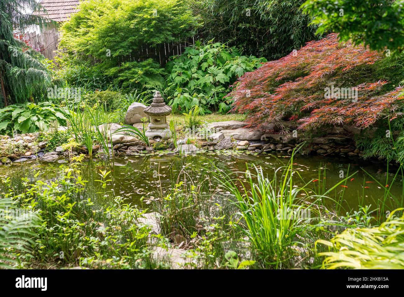 Little pond in a Japanese style garden Stock Photo - Alamy