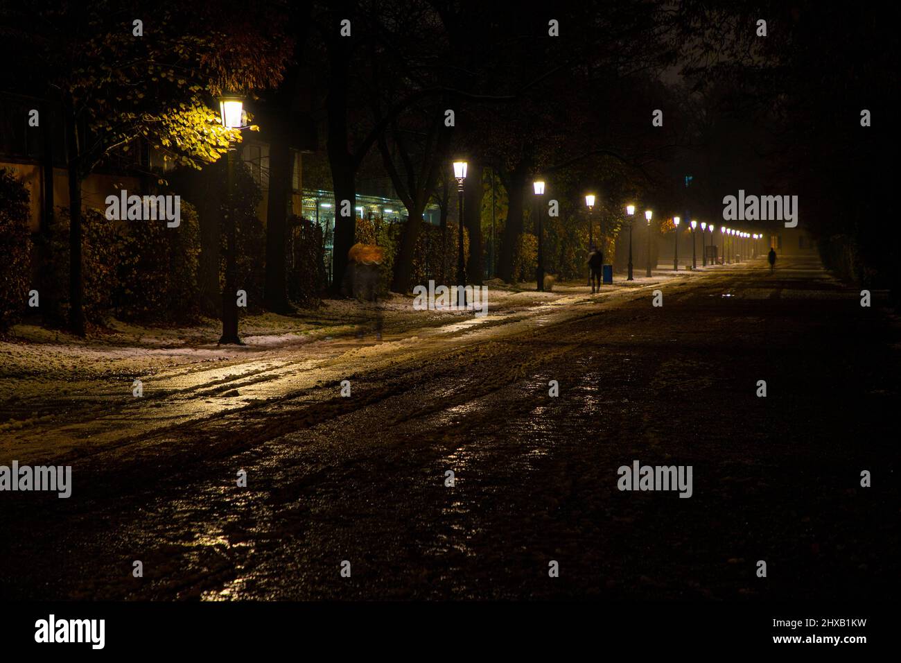 Road inside the ducal park of Parma during the night between snow and ...