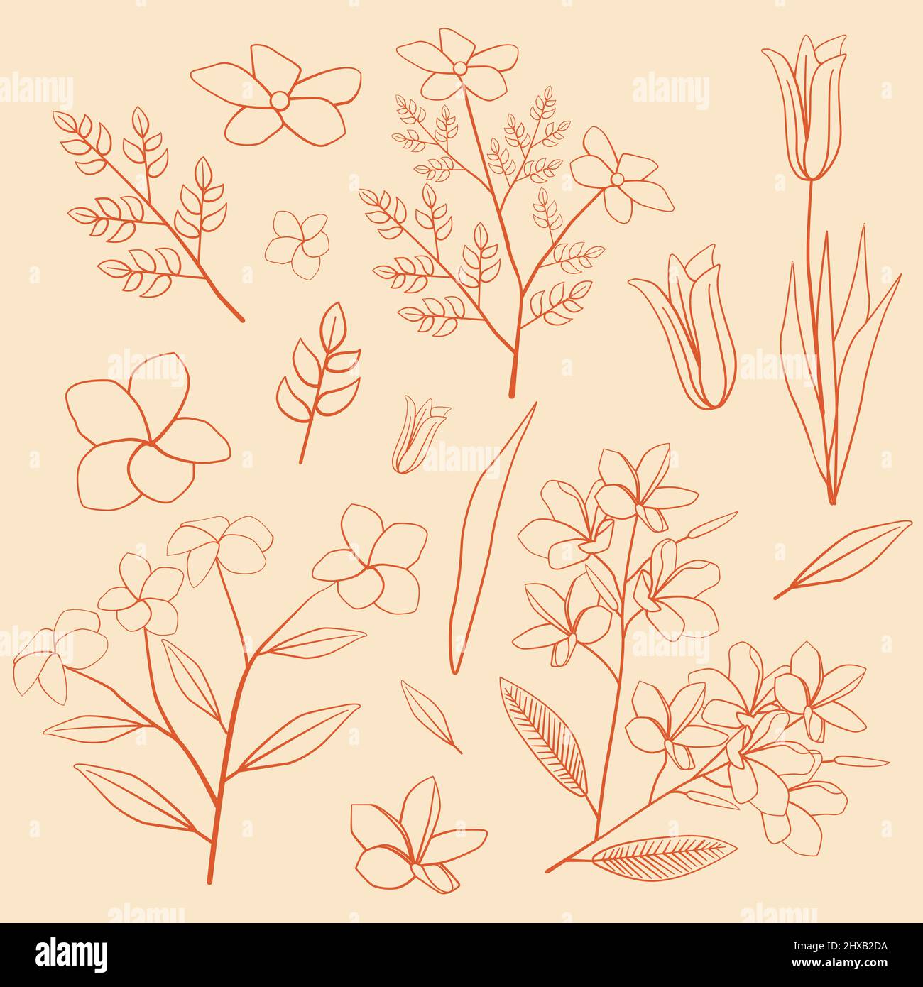 Champa Stock Vector Images - Alamy