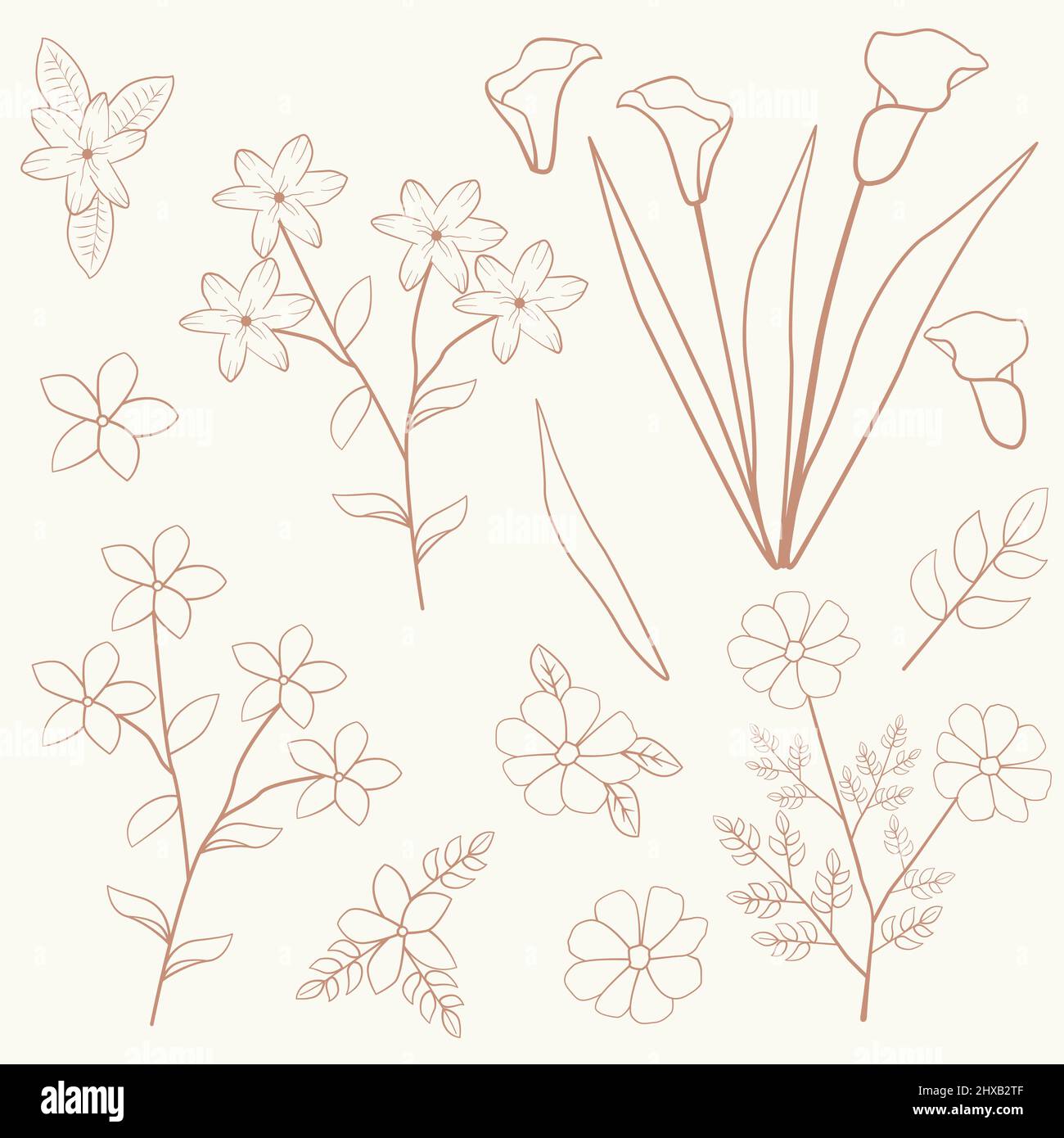 Petal outline hi-res stock photography and images - Alamy