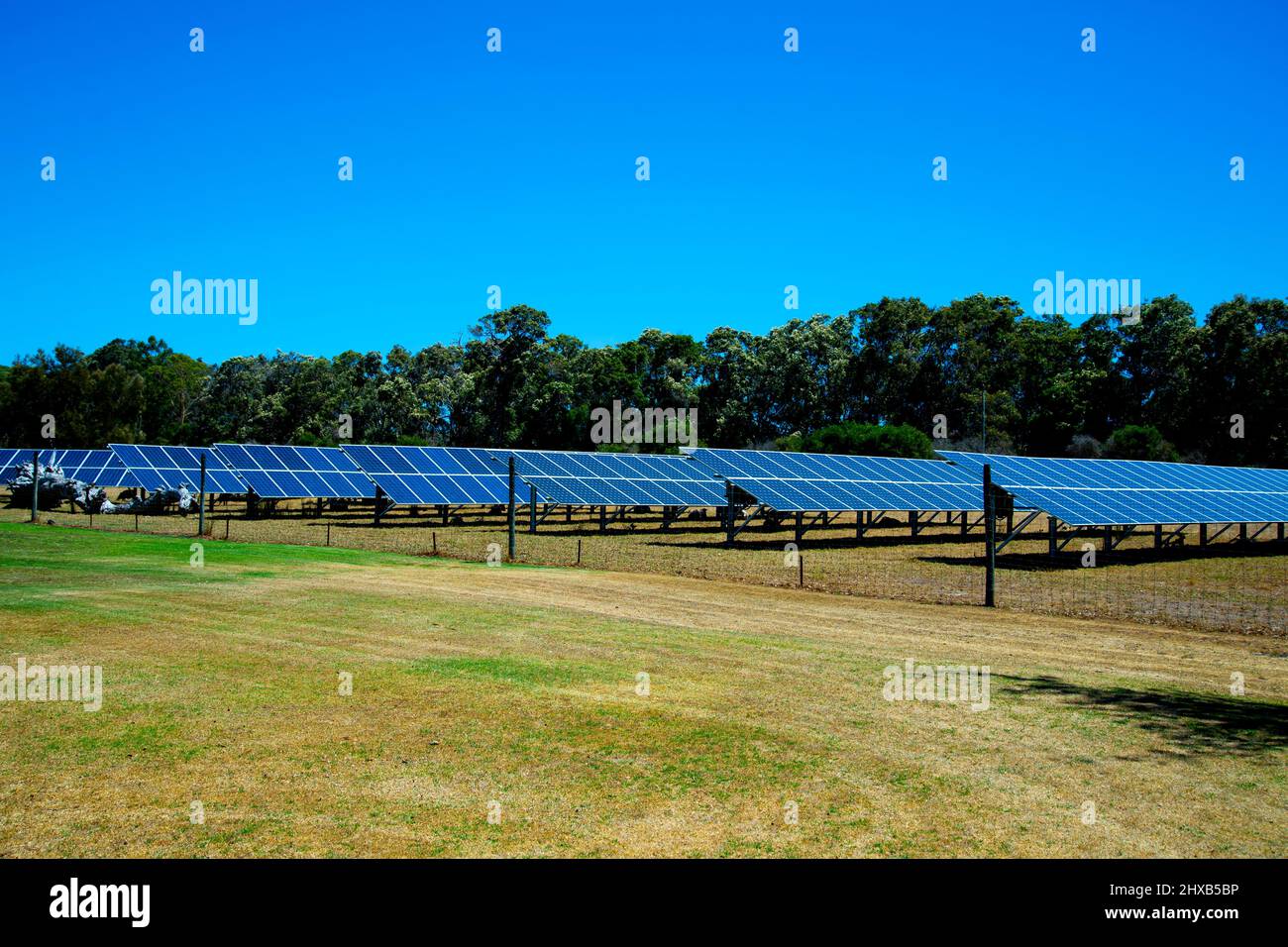 Solar Energy In South Australia at Pam Kirkland blog