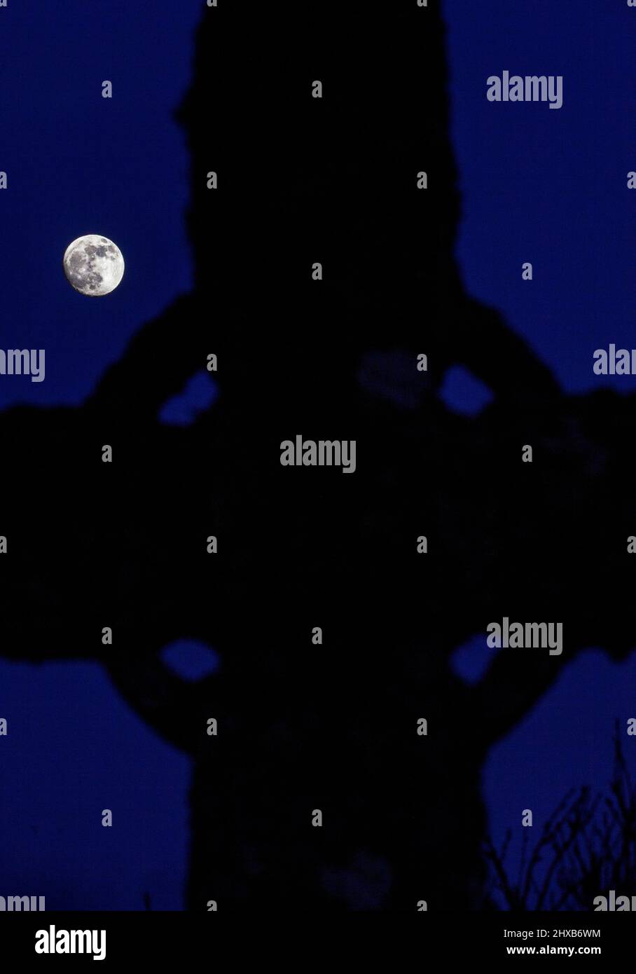 Werewolf howling during the full moon hi-res stock photography and ...