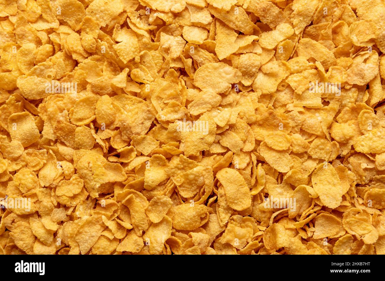 Background full-frame with a pile of cornflakes. Close-up on a myriad ...