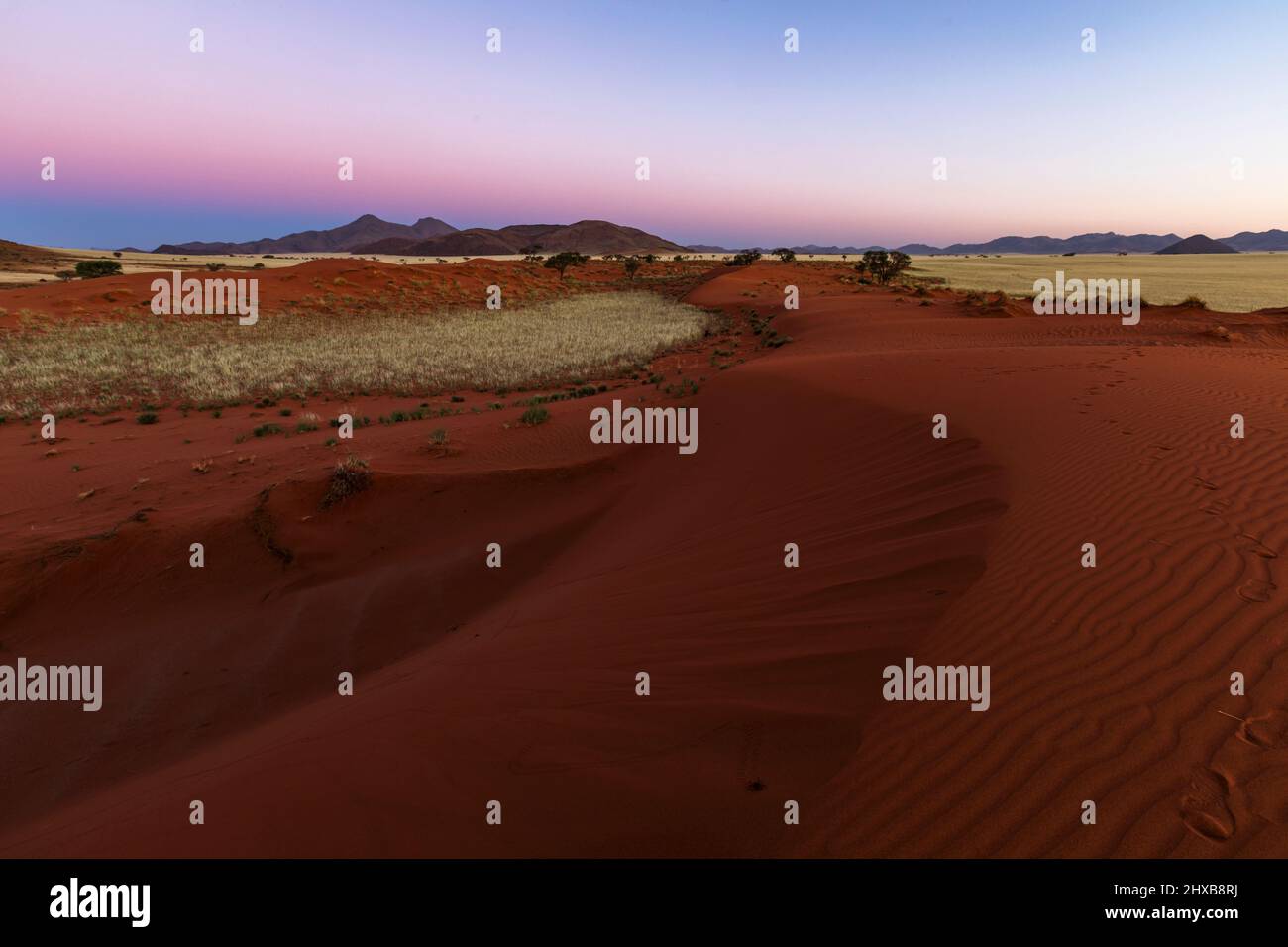 Red sand dune blue and pink sky after sunset Namib Desert Namibia Stock ...