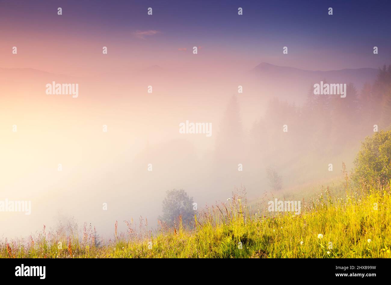 Fantastic foggy day and bright hills by sunlight. Dramatic morning ...