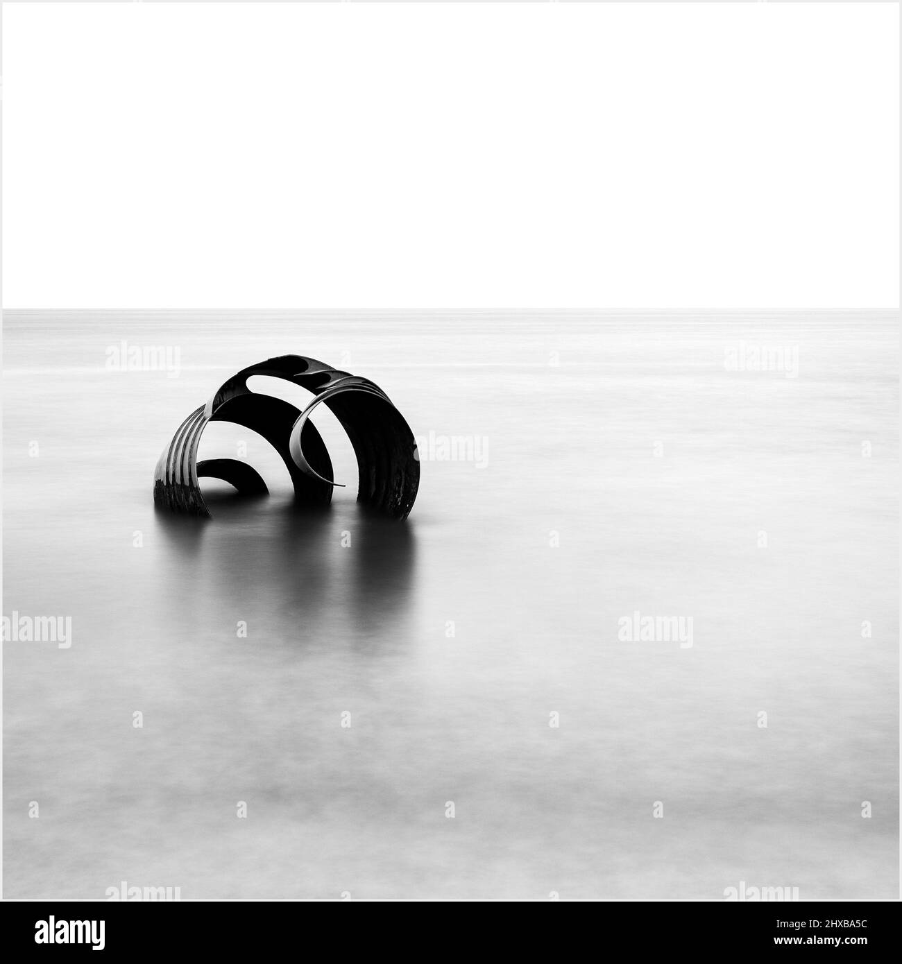 Shell Black and White Stock Photos & Images - Alamy
