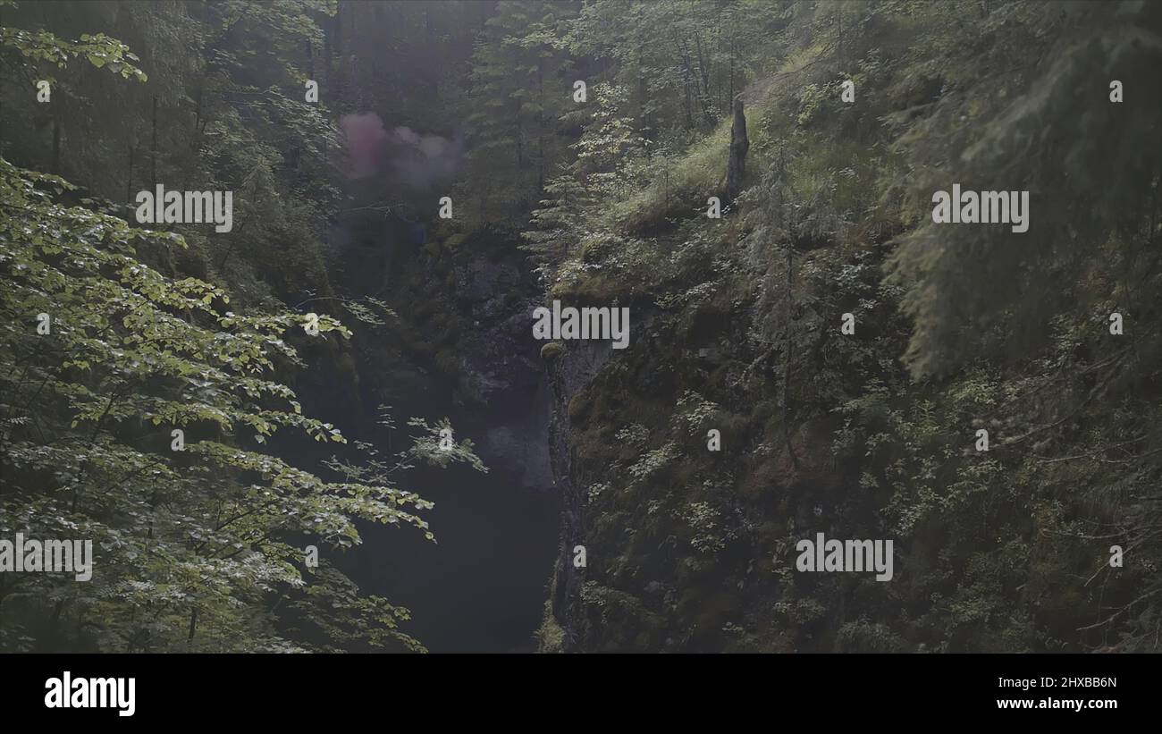 Man standing between two trees hi-res stock photography and images - Alamy