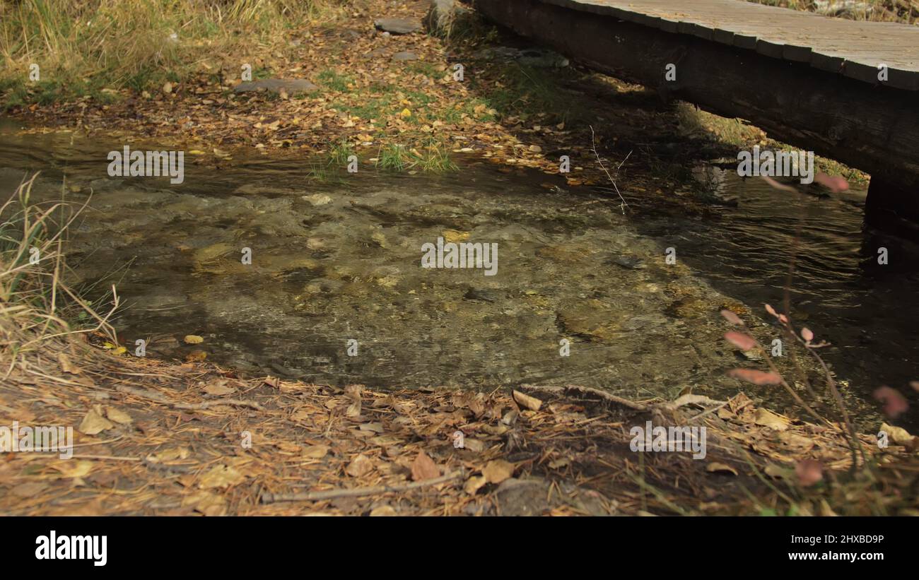People walk on a wooden bridge over the river. Family travels. People ...