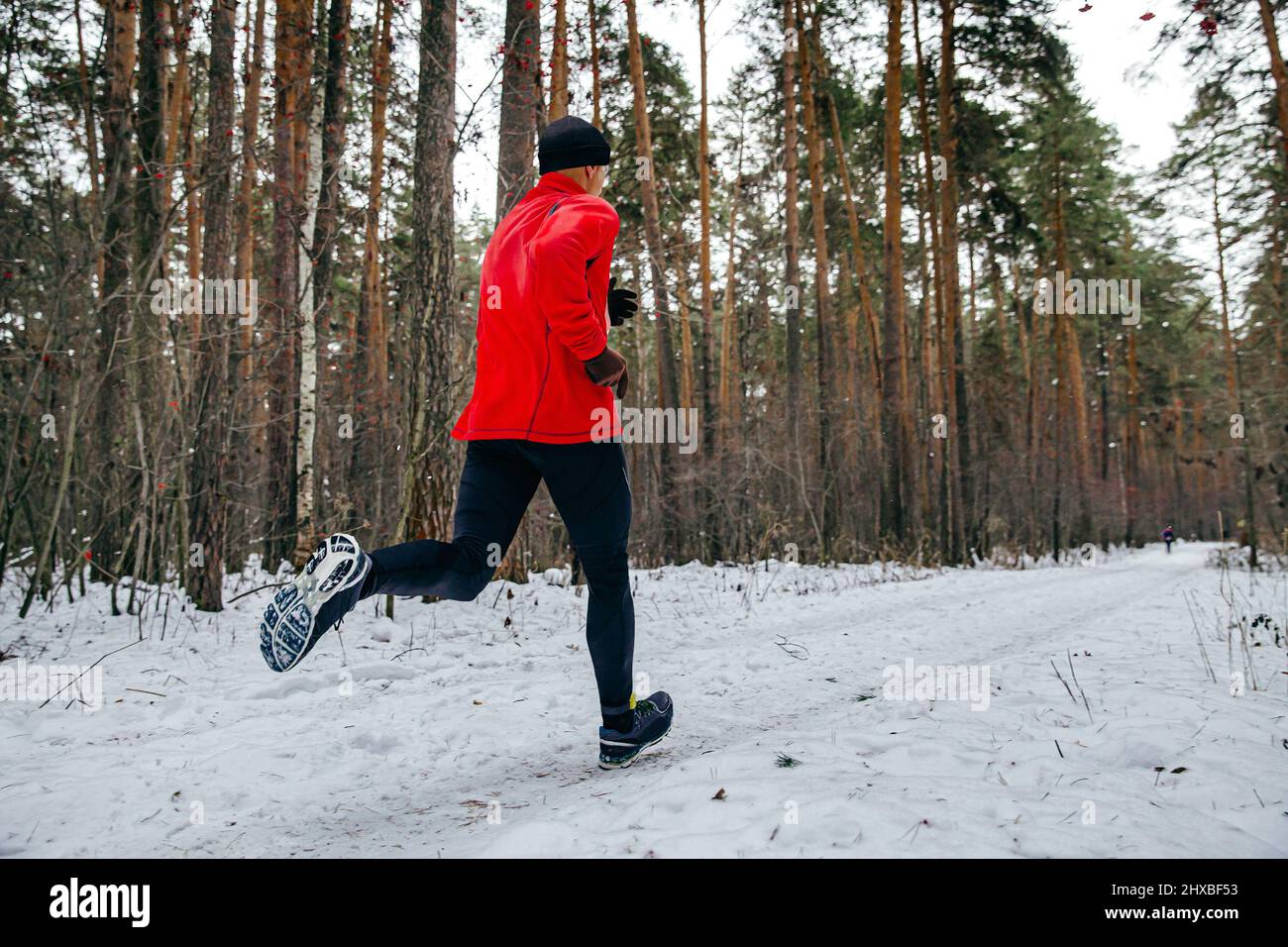 Jogging in winter forest hi-res stock photography and images - Alamy